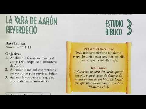 La vara de Aaron reverdeció (audio) 🔊 - YouTube