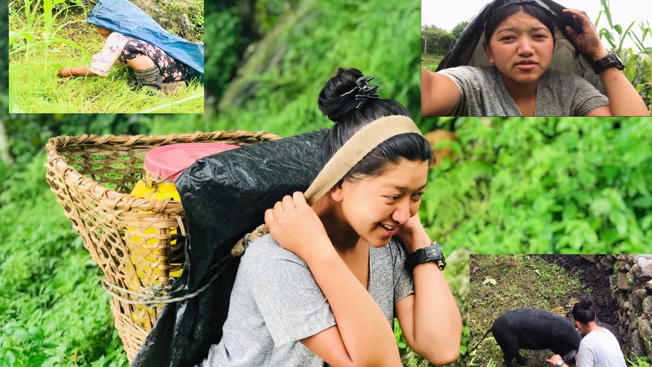 Chwache 🐷lai charo osardai bihan bihan 🐽😁💝 - YouTube