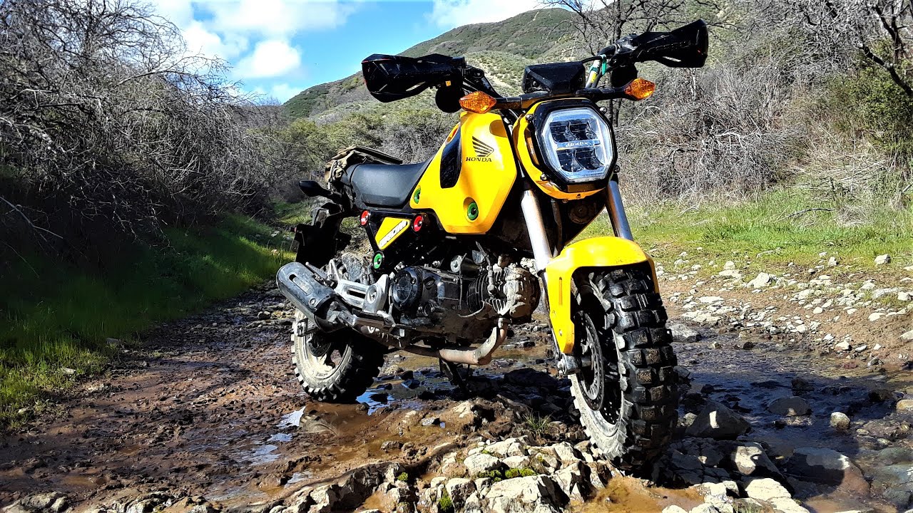 Honda Grom OHV Trail Adventure - YouTube