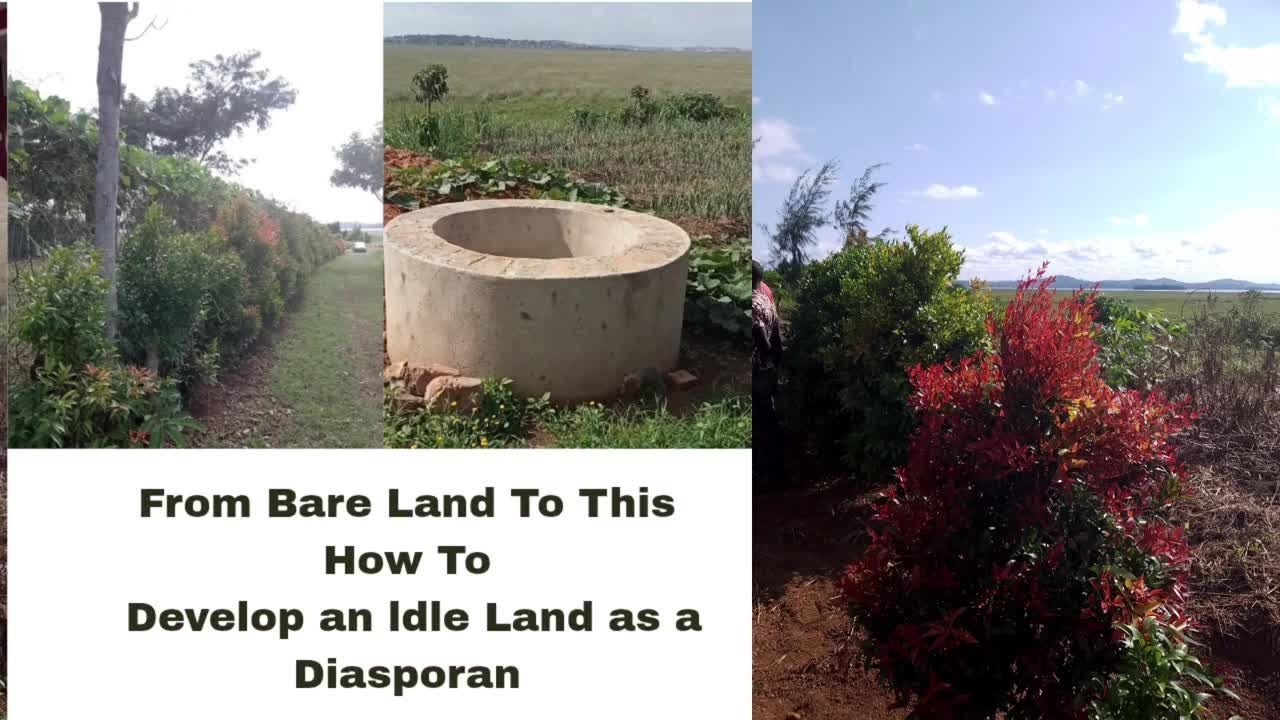 FROM BARE LAND TO ACTIVE AND FRUITFUL HOW TO BEGIN DEVELOPING LAND IN ...