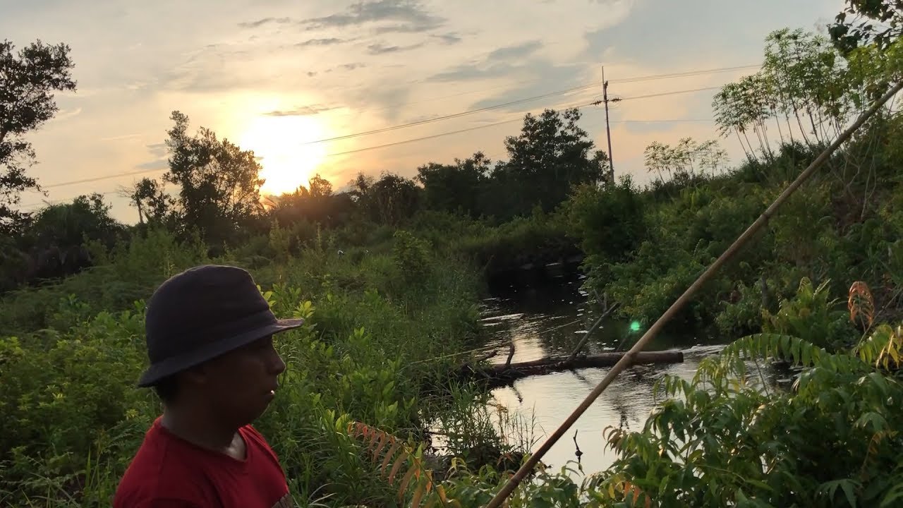 mancing ikan sampai malam di sungai dapat ikan tilan/sili/berod dan ...
