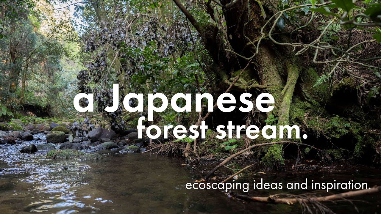 a look at a Japanese stream for ecoscaping inspirations - YouTube