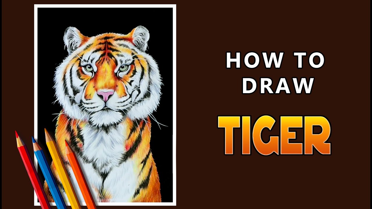 How To Draw Tiger/Tiger Pencil Shading/How to Draw Animal Fur/Colour ...