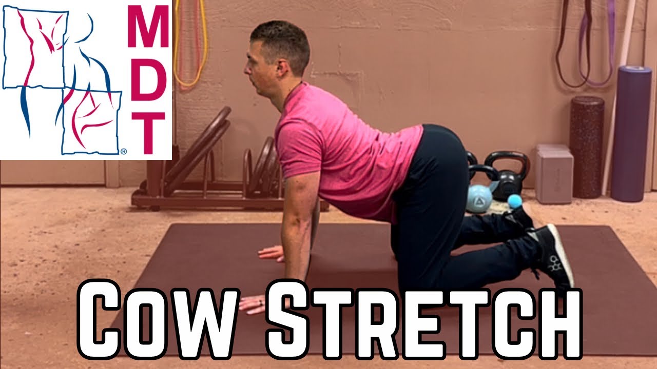 Extension in Quadruped (Cow Stretch) — Mechanical Diagnosis and Therapy ...