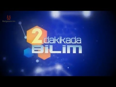 İki Dakikada Bilim ; Benzin ve Dizel arasındaki fark