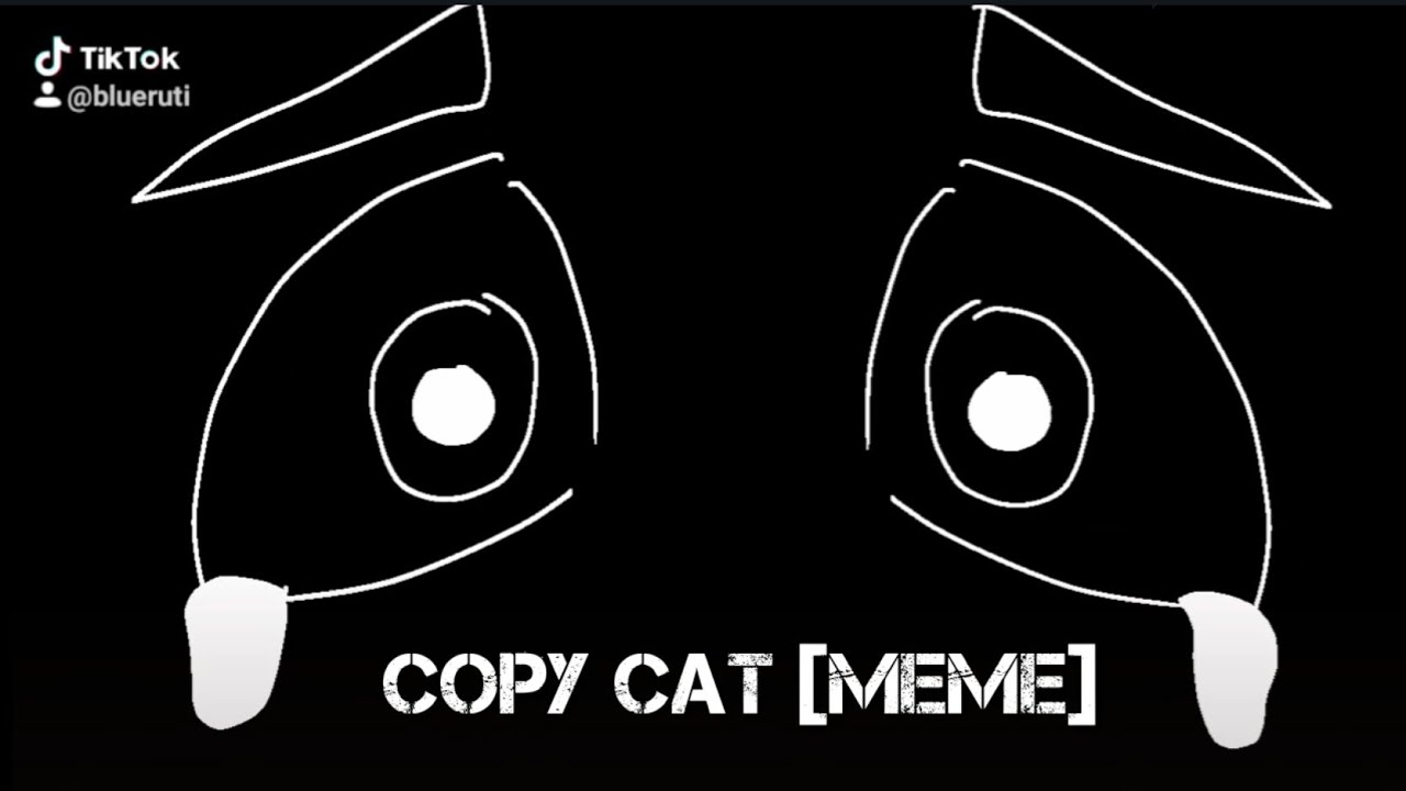 Copy Cat [MEME] {KittyDog, Scotch, Saffrony, Awkwardartist, Retrodile ...