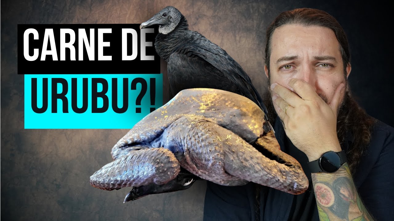 Carne de urubu vendida no Brasil? Fui atrás pra saber se é verdade e ...