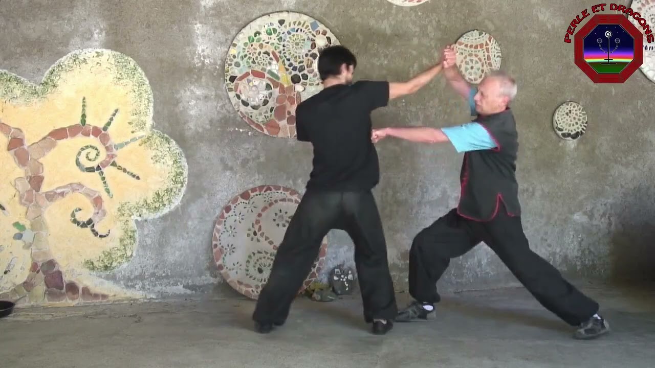 Praying Mantis Basic - Techniques de bases du kung fu de la mante ...