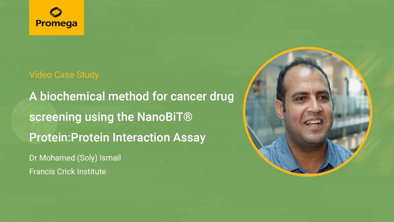 A biochemical method for cancer drug screening using the NanoBiT ...