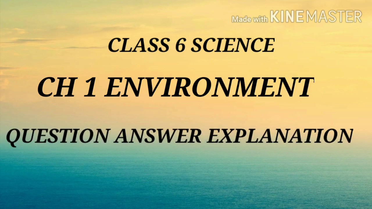 Chapter 1 our environment Question answer - YouTube