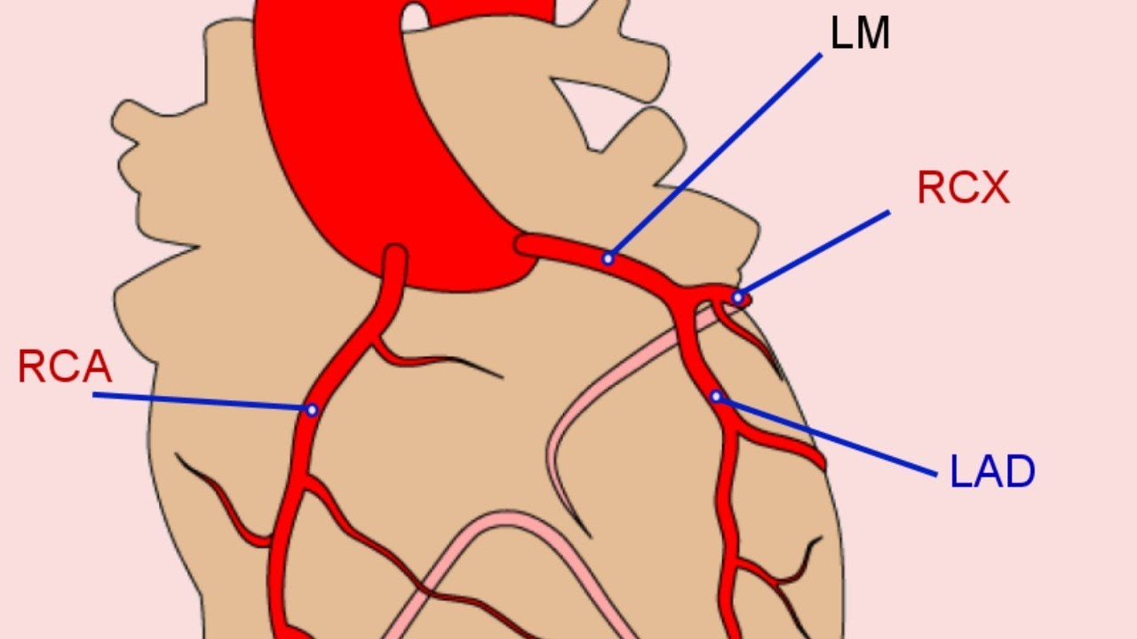 Cath Lab Nursing 101 - YouTube