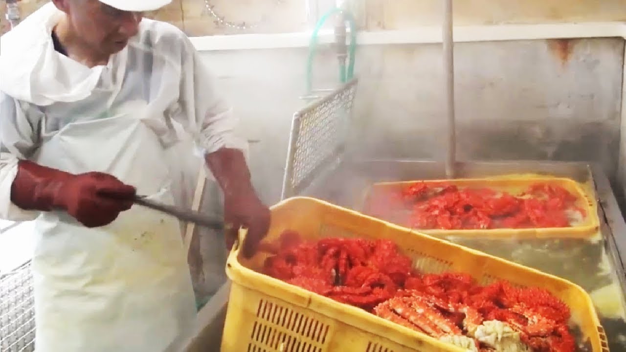 Inside Crab Factory In Japan - Crab Processing Line - YouTube