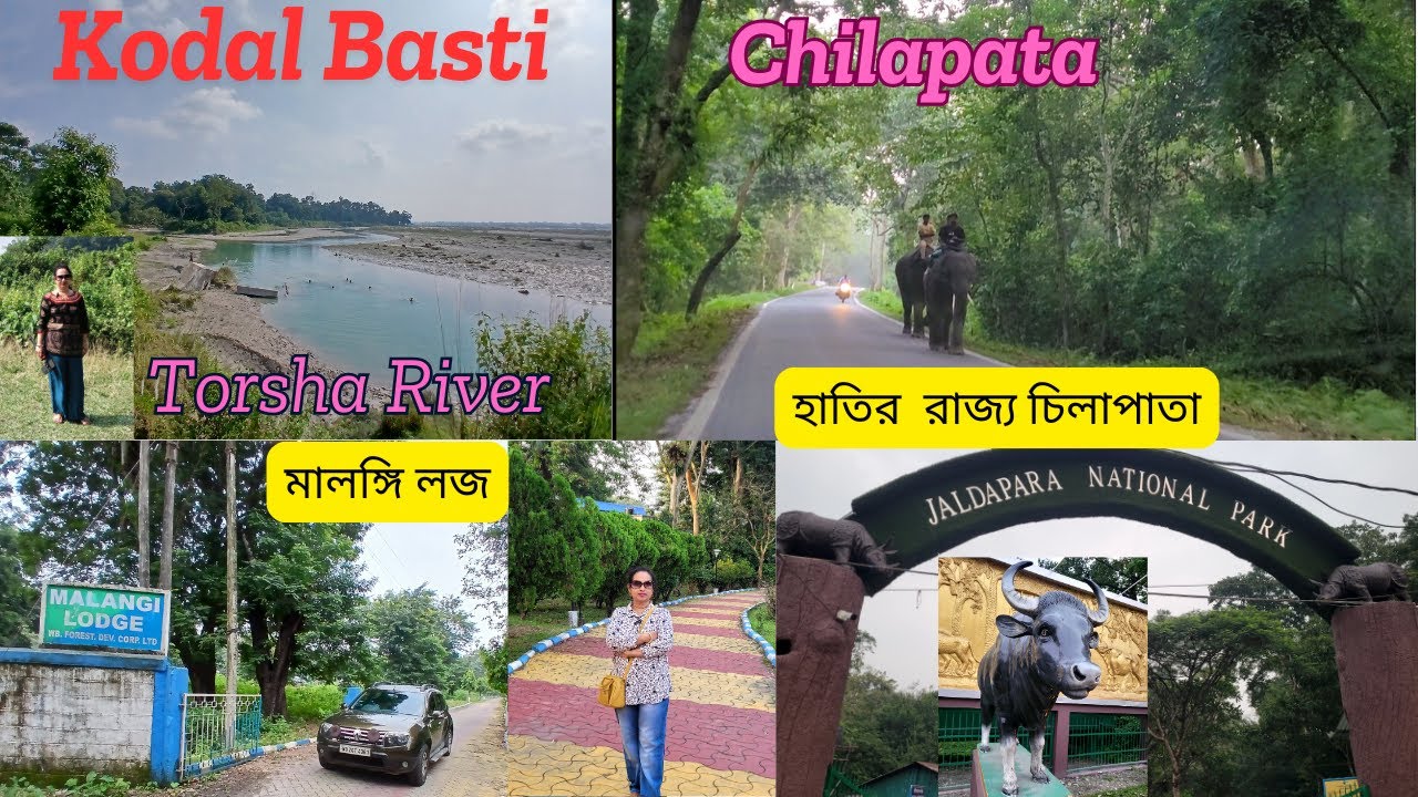 Chilapata Forest/Kodal Basti Forest/WBFDC Malangi Lodge/Dooars Tour ...