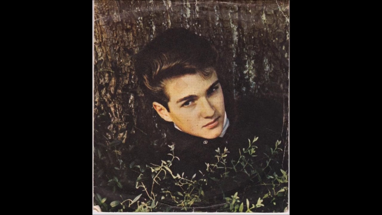 Ordinary Girl (first folk-rock version) Terry Black 1964 Sloan-Barri ...