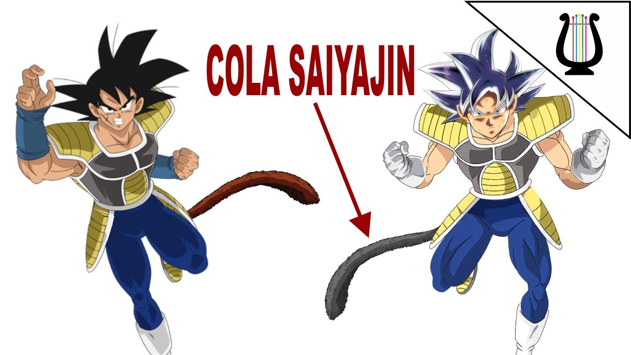 Respuesta Canónica: ¿Por que la Cola a veces no crece? - Dragon ball ...