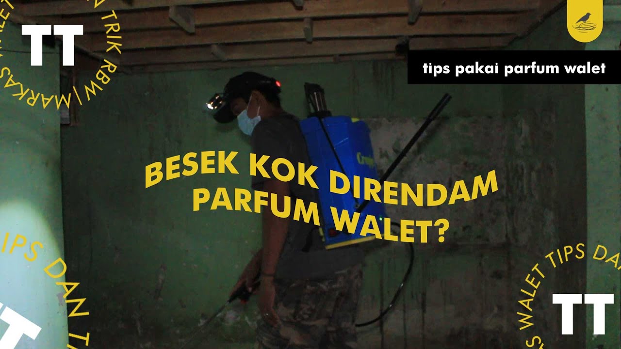 CARA PAKAI PARFUM WALET UNTUK GEDUNG WALET MENGGUNAKAN PARFUM NH3X ...