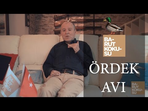 Ördek Avı