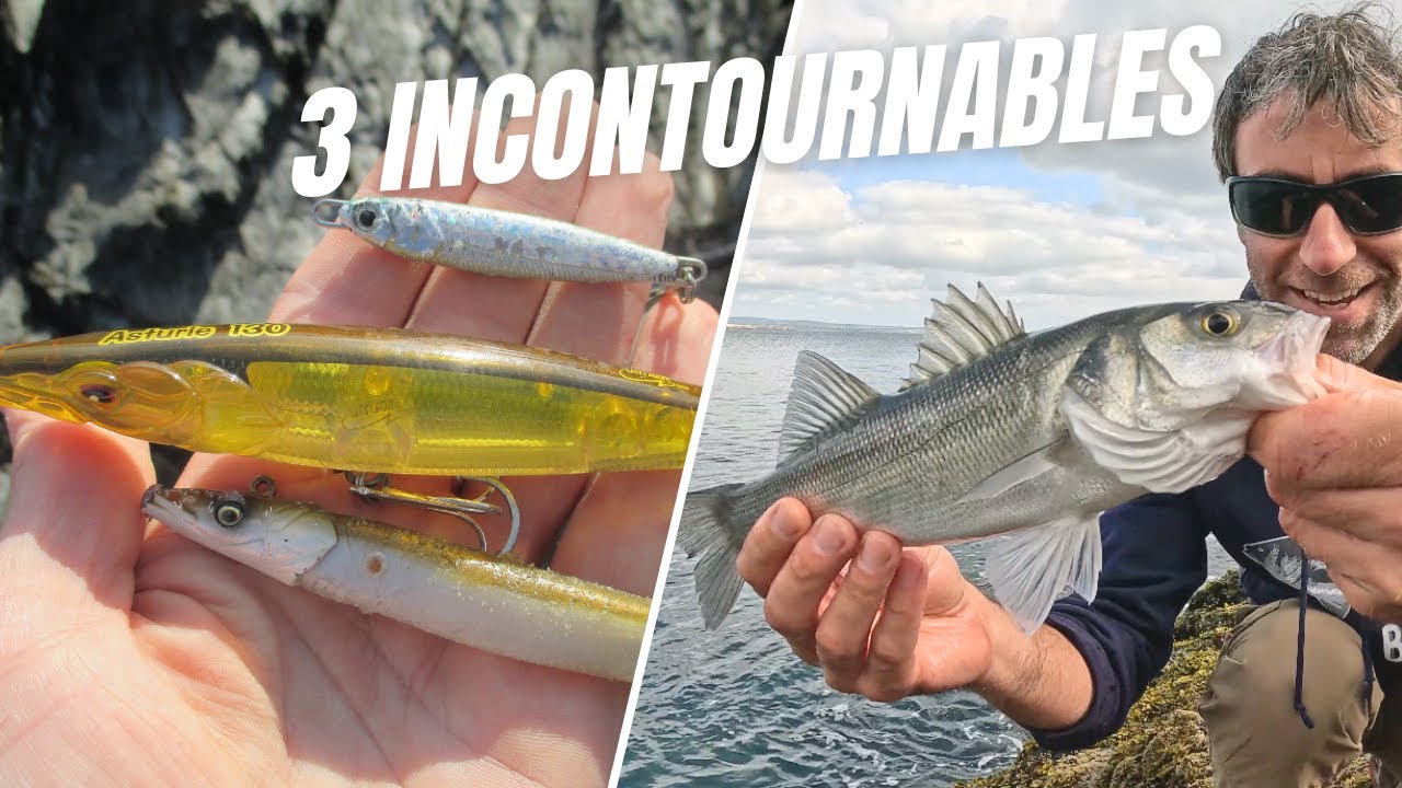 PÊCHER FACILEMENT DU POISSON EN BRETAGNE PENDANT L'ÉTÉ : 3 LEURRES ...