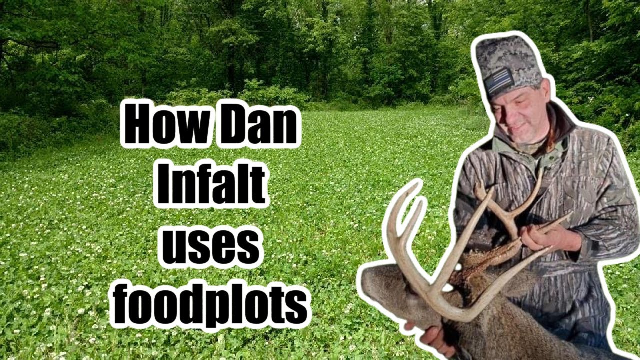 Dan Infalt's Strategy for Food Plots - YouTube