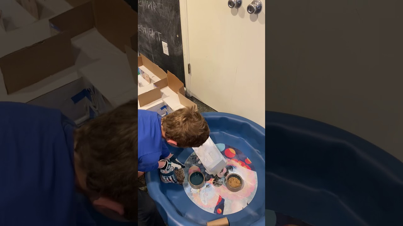 Holden the Hedgehog Completes the Obstacle Course - YouTube