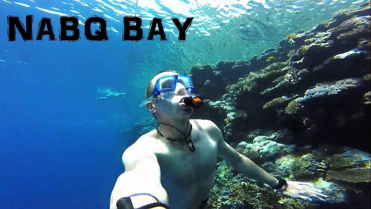 Snorkelling off Nabq Bay beach reef, Sharm El Sheikh - YouTube