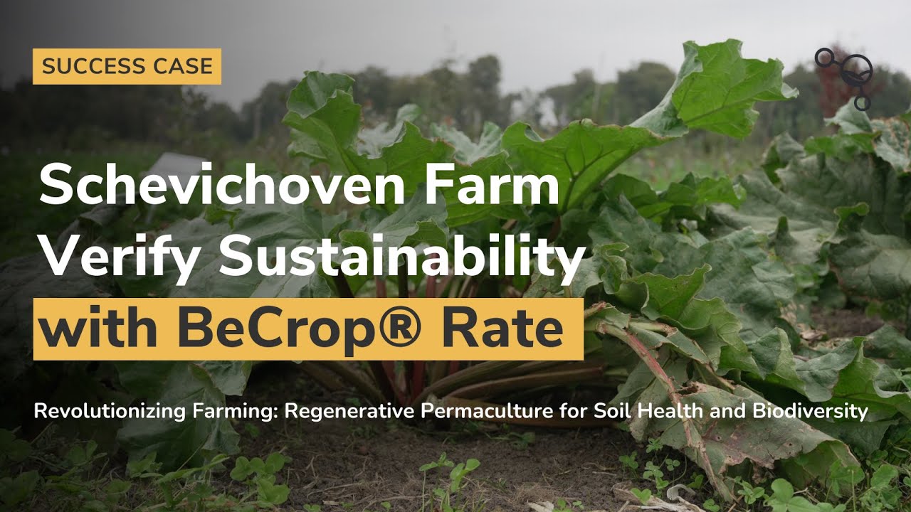 Schevichoven Farm Verify Sustainability with BeCrop® Rate - YouTube