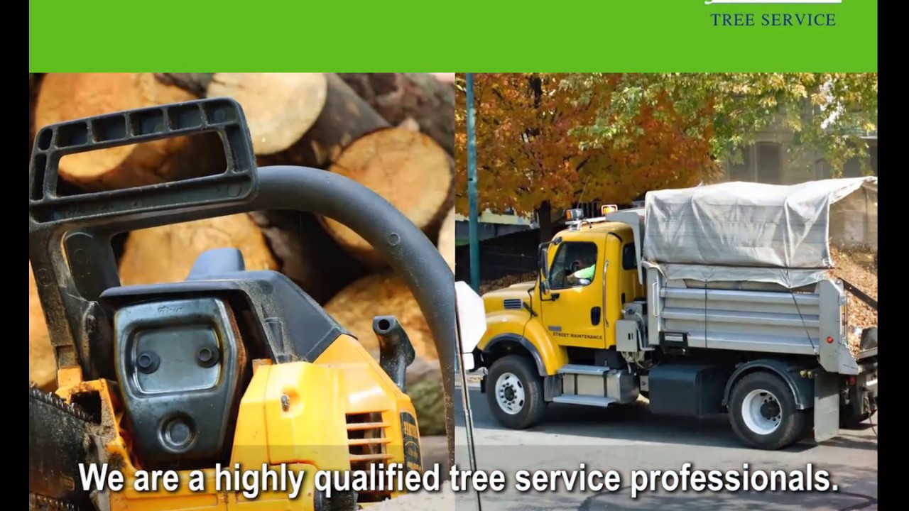 JRs Tree Service top Queens Tree Service (718) 723-3025 - YouTube