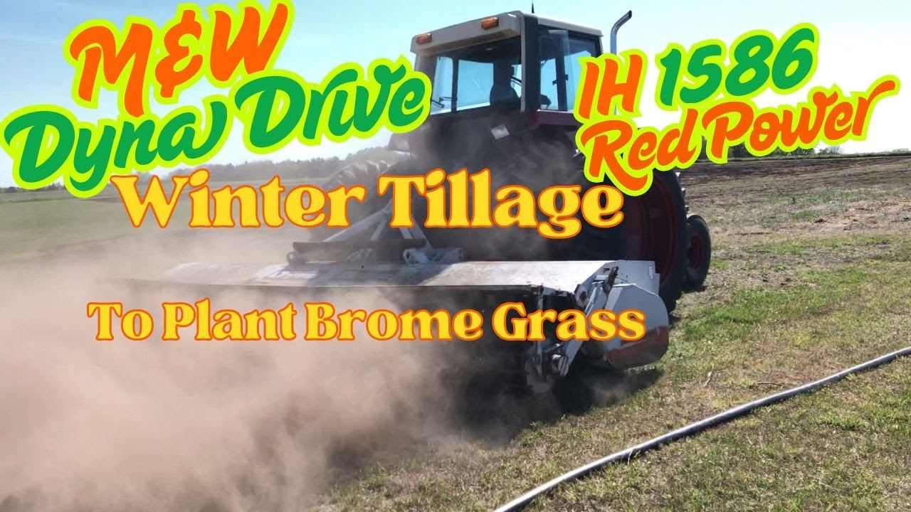 Ih 1586 And M & W Dyna Drive Tillage - YouTube