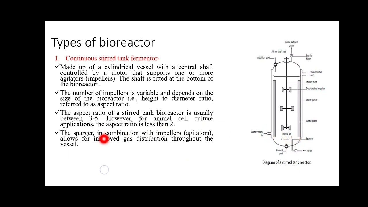 Bioreactor and types of bioreactor Part 1| industrial microbiology ...