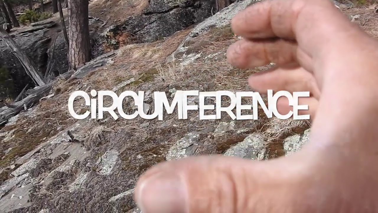 Biblical Tree Remains, Part 28 - YouTube