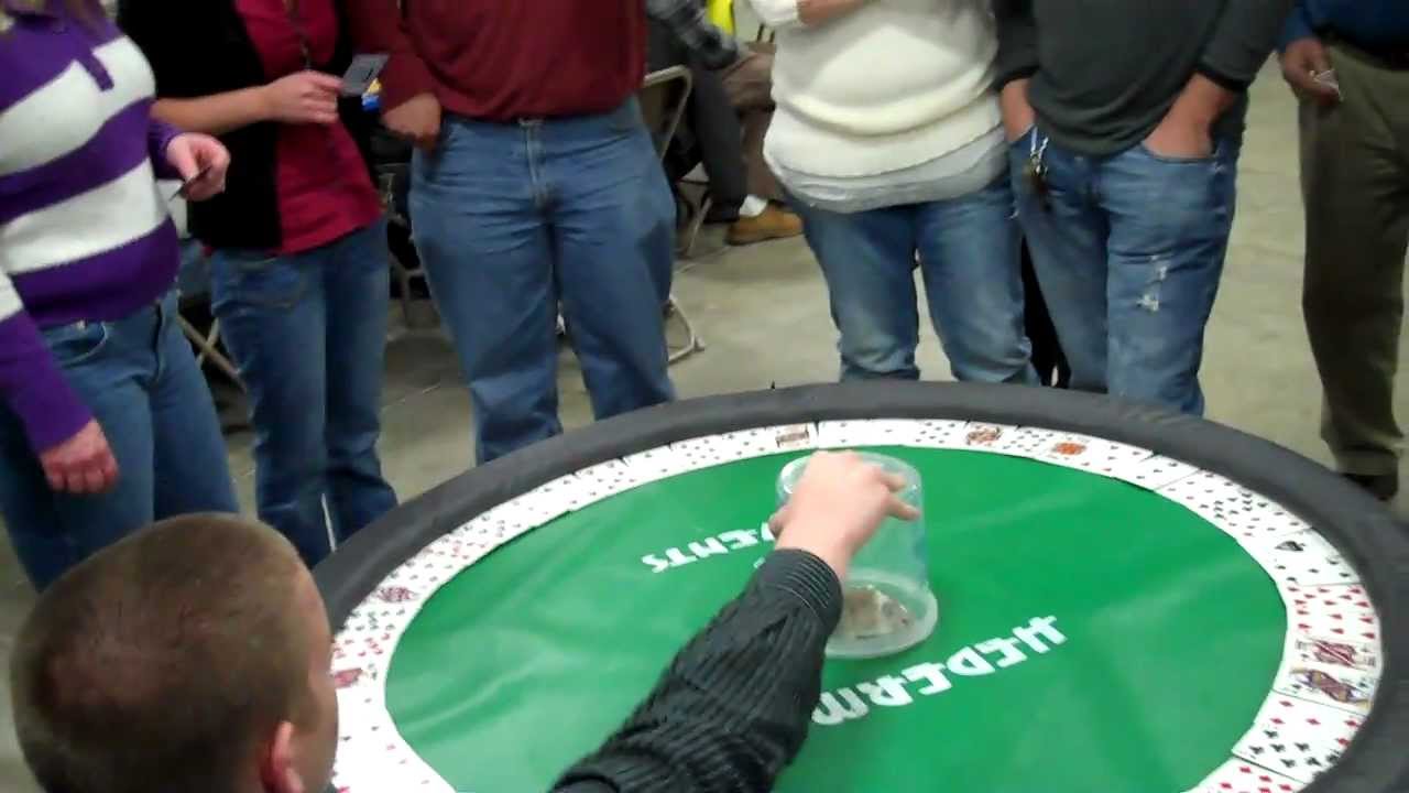 Rodent Roulette at our Mouse Race - YouTube