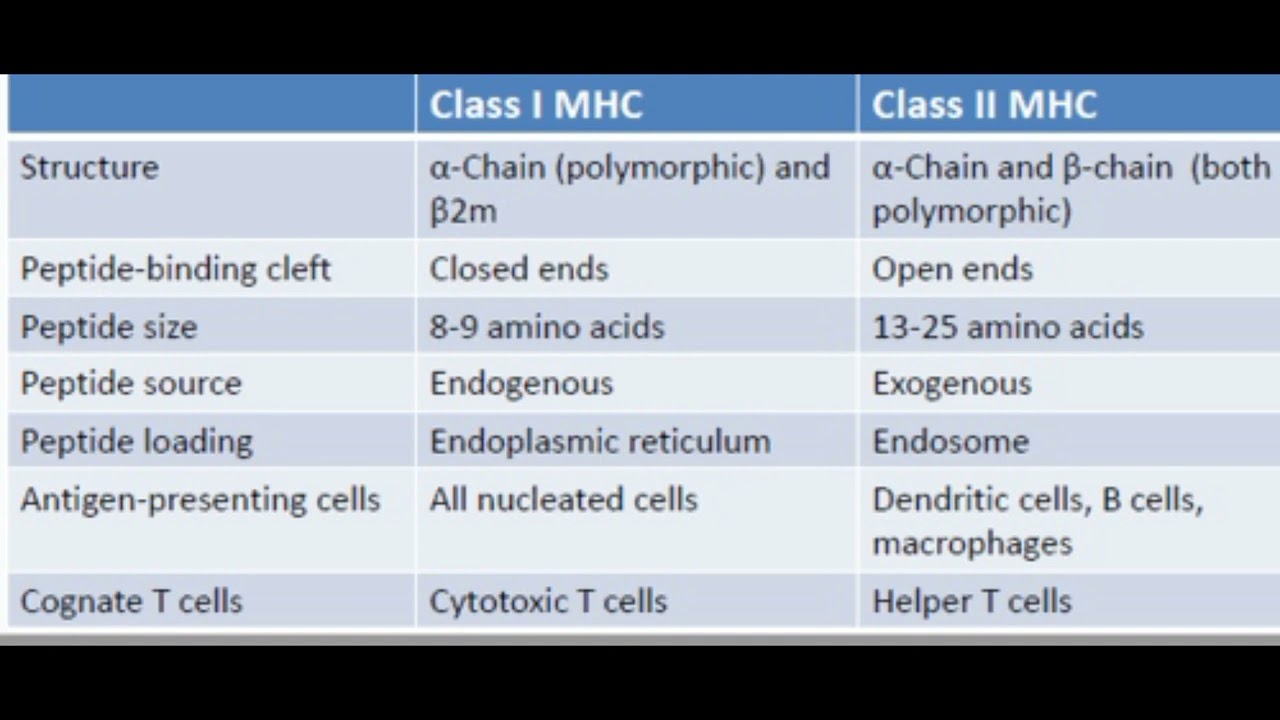 Difference between Class I and Class II MHC molecules # ...