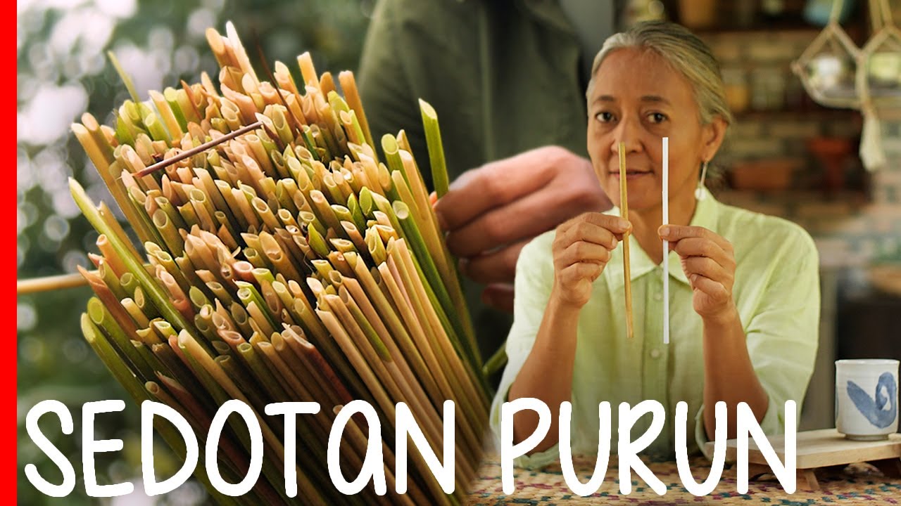 Mengenal PURUN si Rumput SUPER yang Ramah Lingkungan dan Bernilai ...