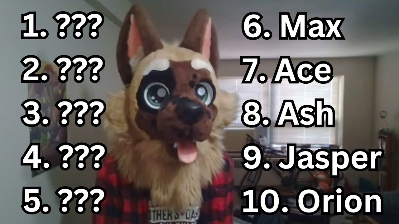 THE MOST COMMON FURSONA NAME! - YouTube