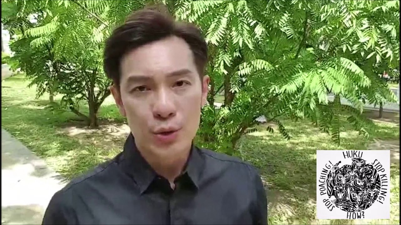 Malaysian Born Singapore Actor Shaun Chen Supports HUKU Tigers ...