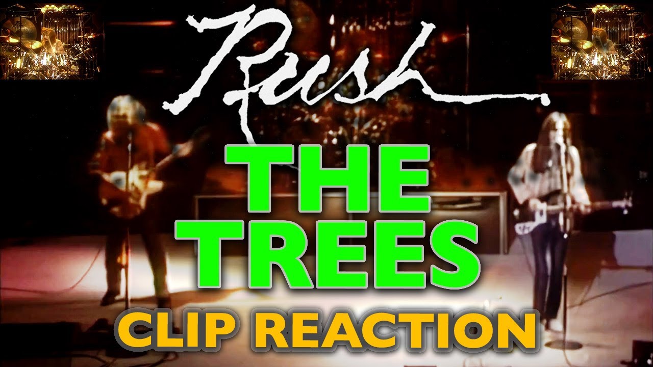 Brothers REACT to Rush: The Trees (LIVE 1978 Promo Video) - YouTube