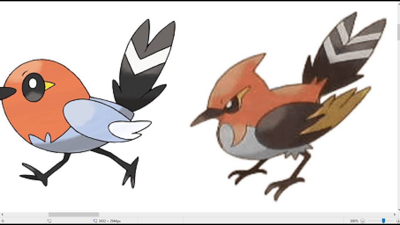 Human Fletchling speed paint - YouTube