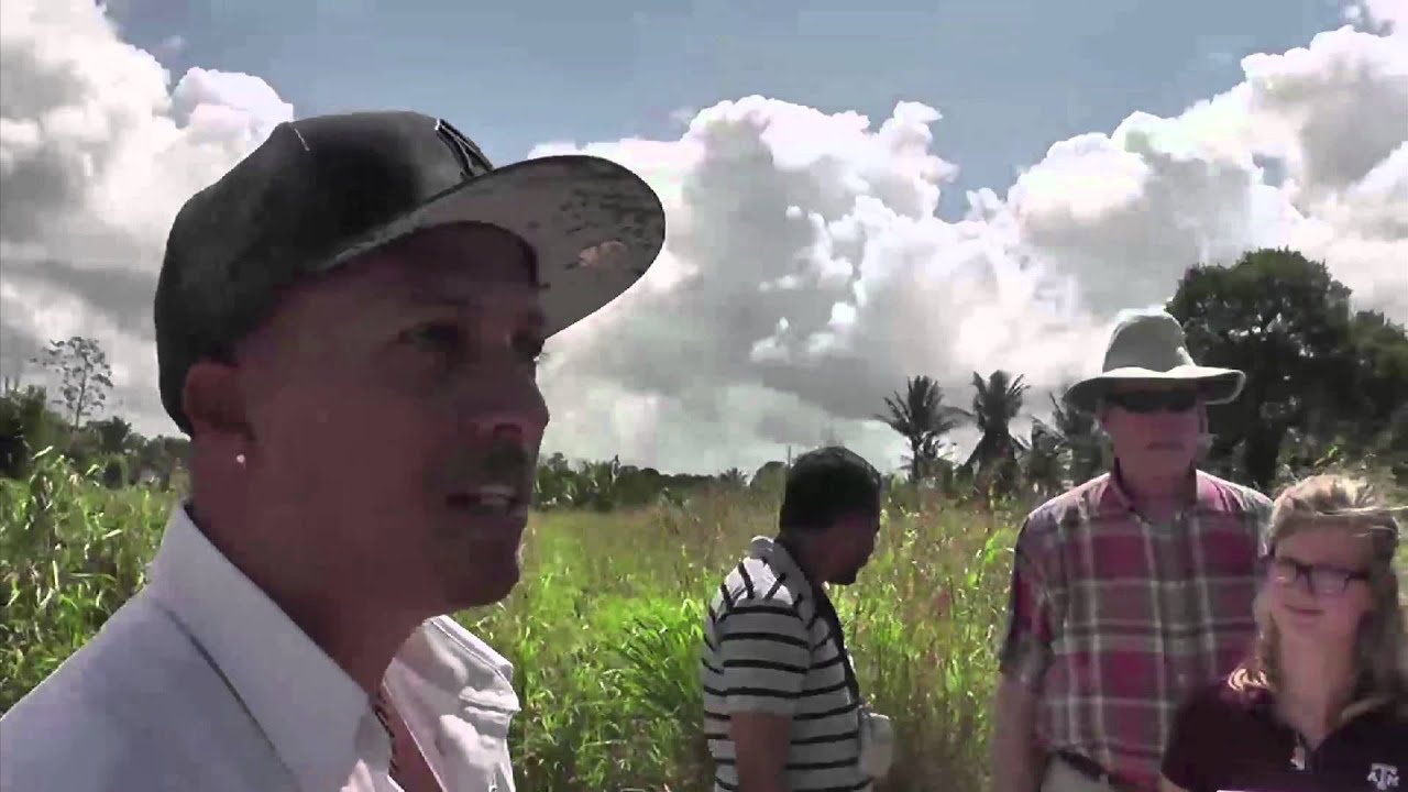 An Interview With A Farmer Fully Engaged In A Farmer Association - YouTube