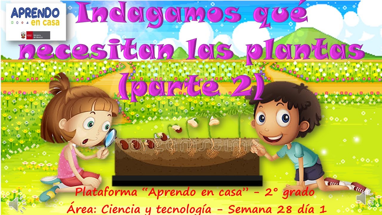 Indagamos qué necesitan las plantas parte 2 - -segundo grado sesiones ...