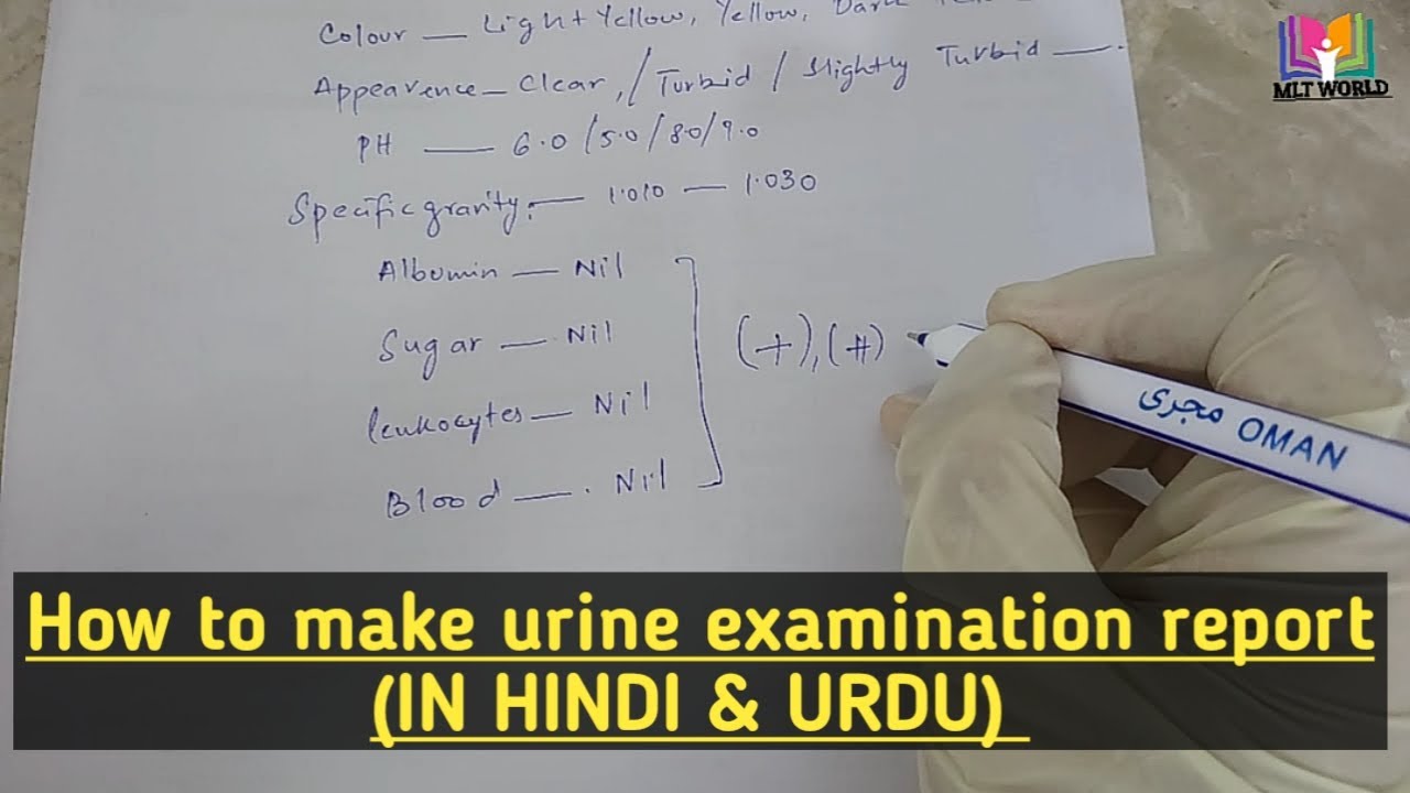 How to make urine routine examination report manual.What parameters are ...