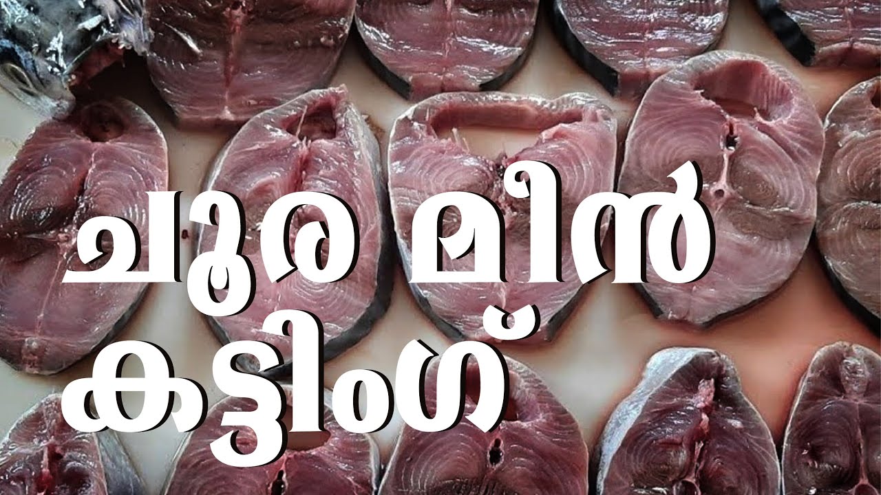 Tuna Fish Cutting | ചൂര മീൻ കട്ടിംഗ് | Fish Cutting | Choora Meen ...