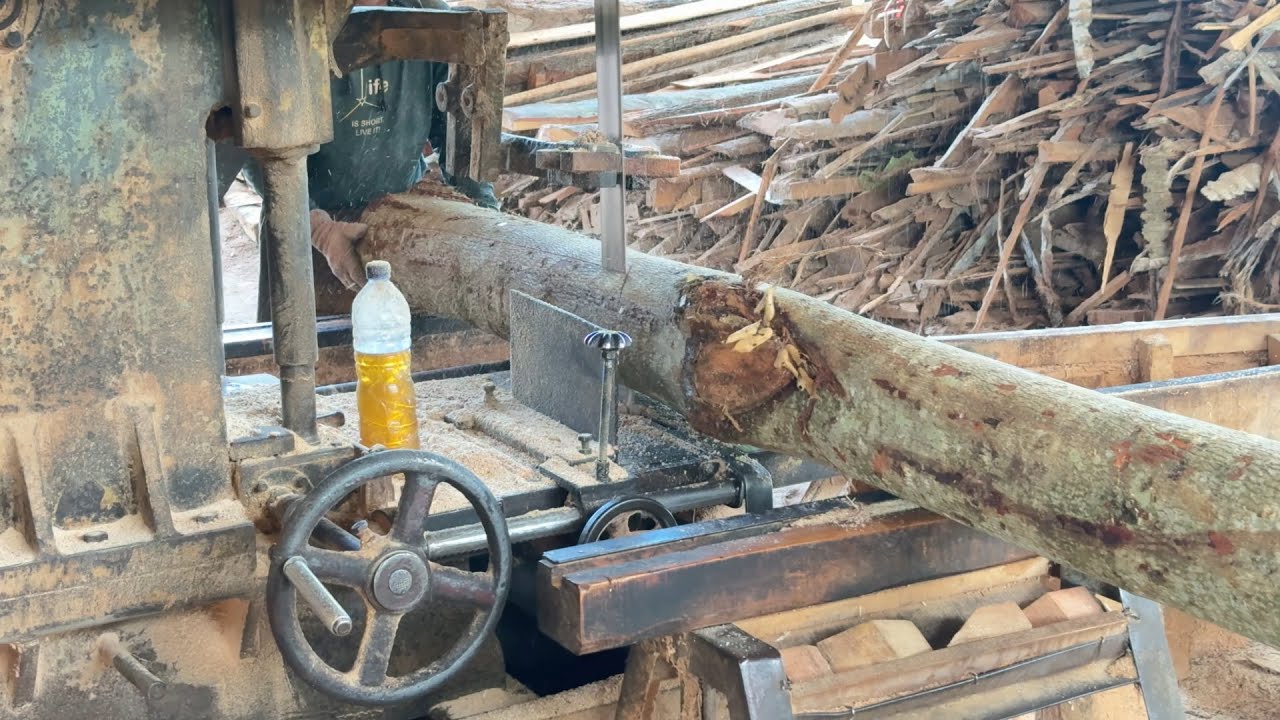 Advantages of Sawmill Precision Tips from Expert Operators - YouTube