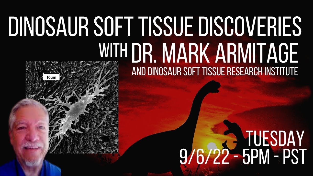 Dinosaur Soft Tissue Discoveries with Dr Mark Armitage - YouTube