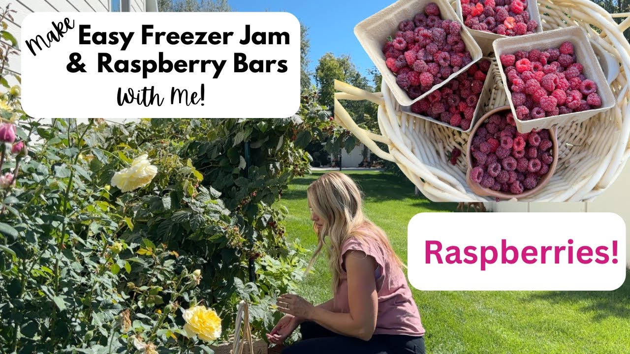 Raspberries!! Make Easy Freezer Jam & Raspberry Bars With Me! - YouTube