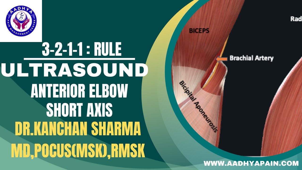 Ultrasound Anterior Elbow Joint: Short Axis View - YouTube