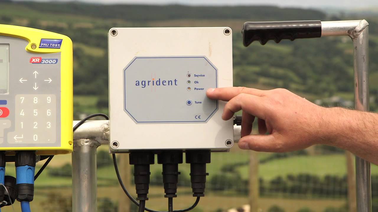 Border Software Agrident ASR550 - YouTube