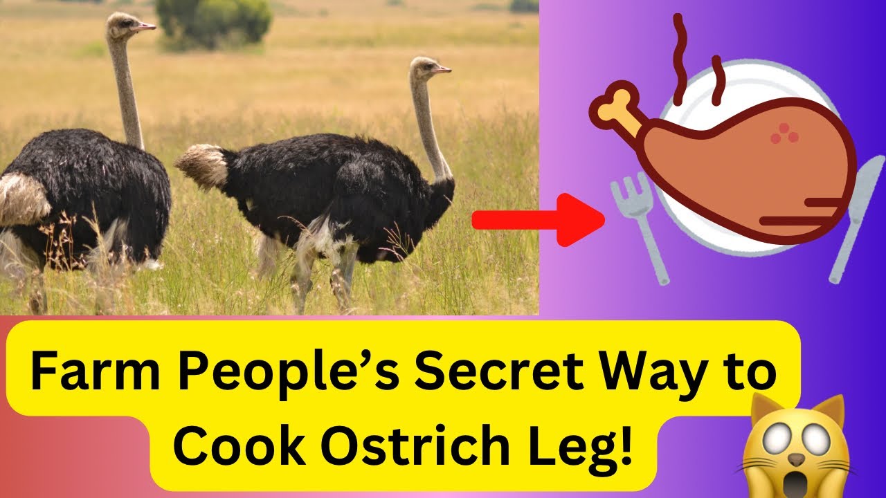 Farm Life: You Won't Believe How They Cook an Ostrich Leg! - YouTube