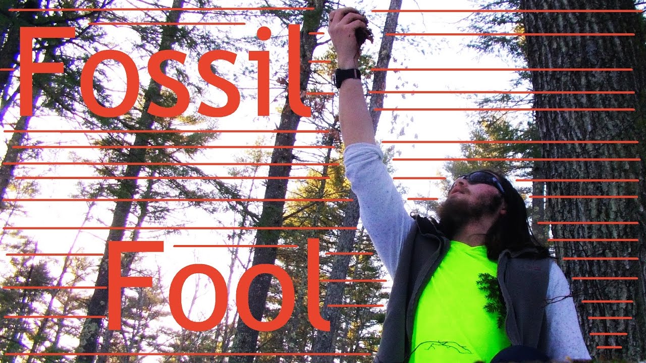 Fossil Fool - YouTube