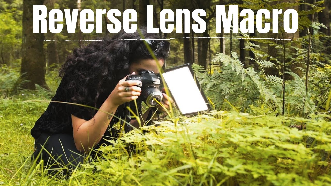 Macro Photography Reverse Lens Review: cheap macro photos! - YouTube
