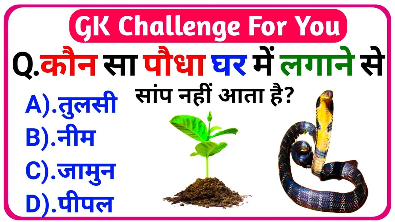 Top 10 GK Questions || GK In Hindi || GK Question and Answer || GK Quiz ...